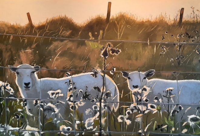 dai david art brecon sheep painting